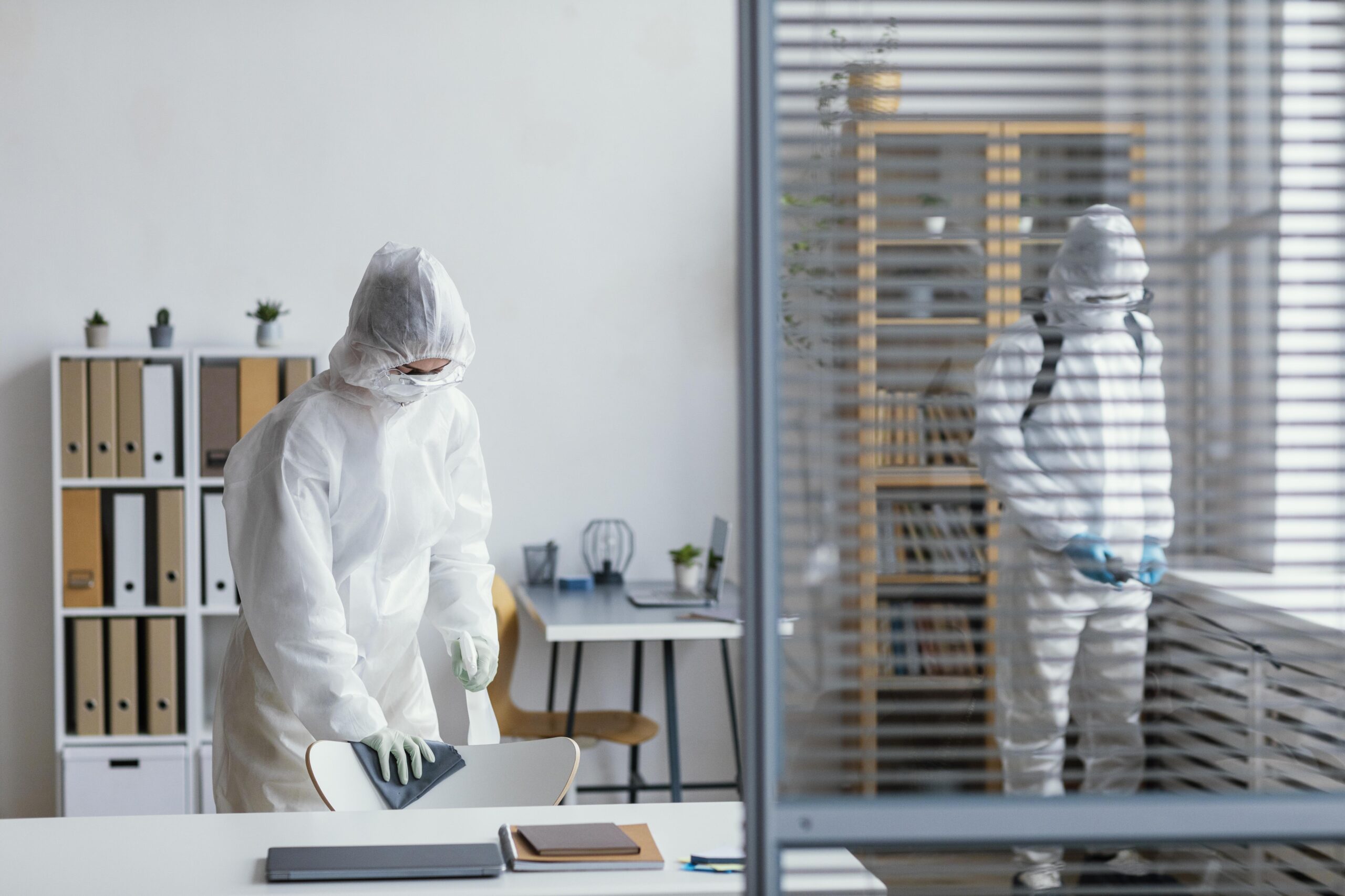 Controle de pragas em empresas: motivos para adotar essa prática ...